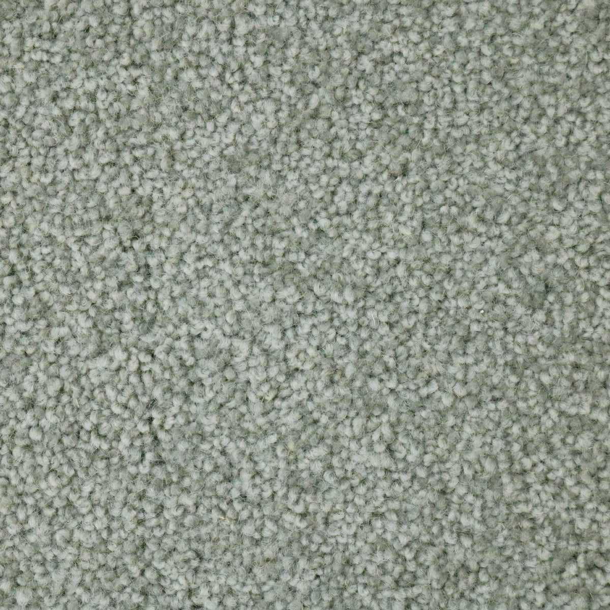 Feltex Grandoise Carpet Collection | Ian Hunt Flooring