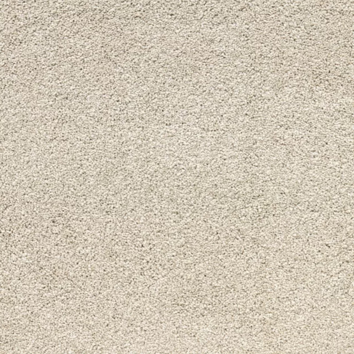 Jacobsens Regal Park Carpet | Ian Hunt Flooring