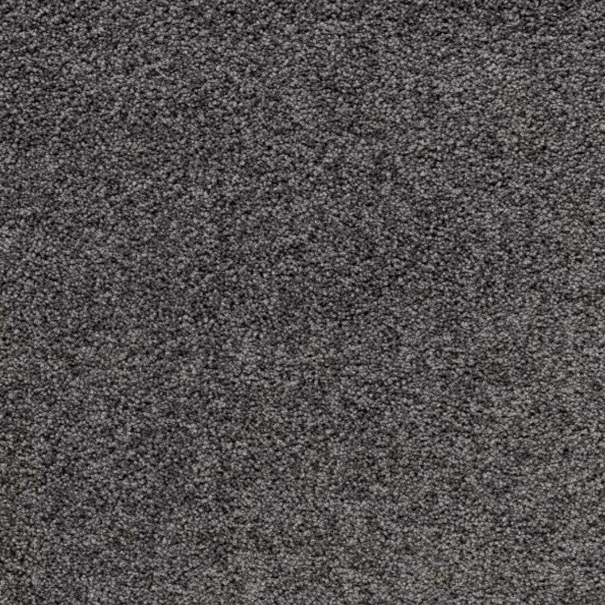 Jacobsens Regal Park Carpet | Ian Hunt Flooring