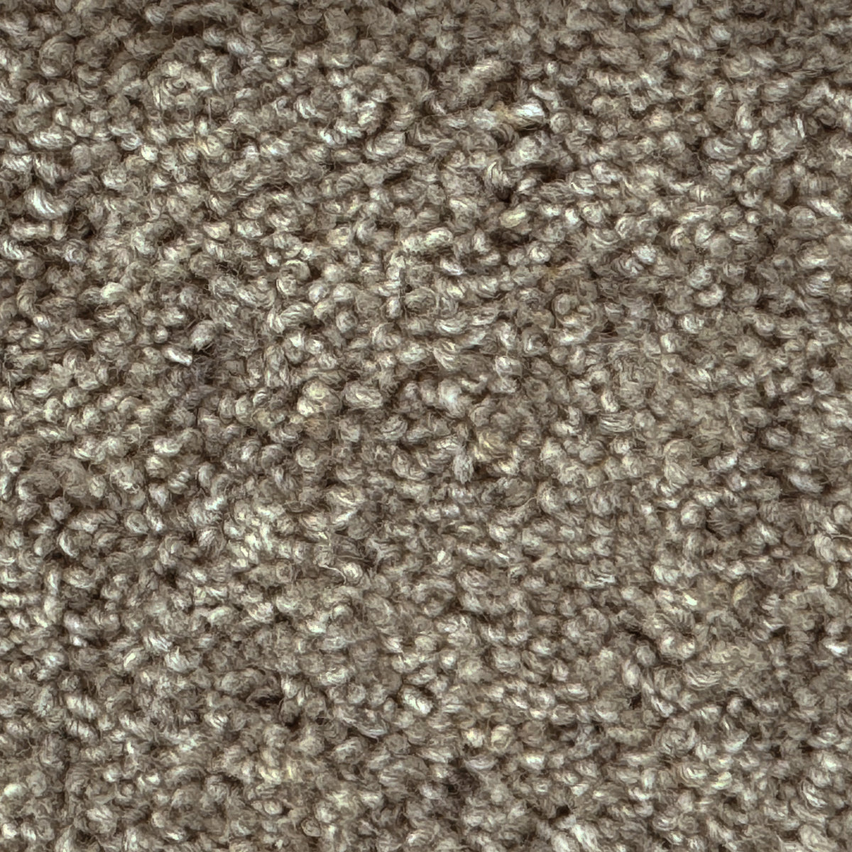 Godfrey Hirst Tussock Country Carpet | Ian Hunt Flooring