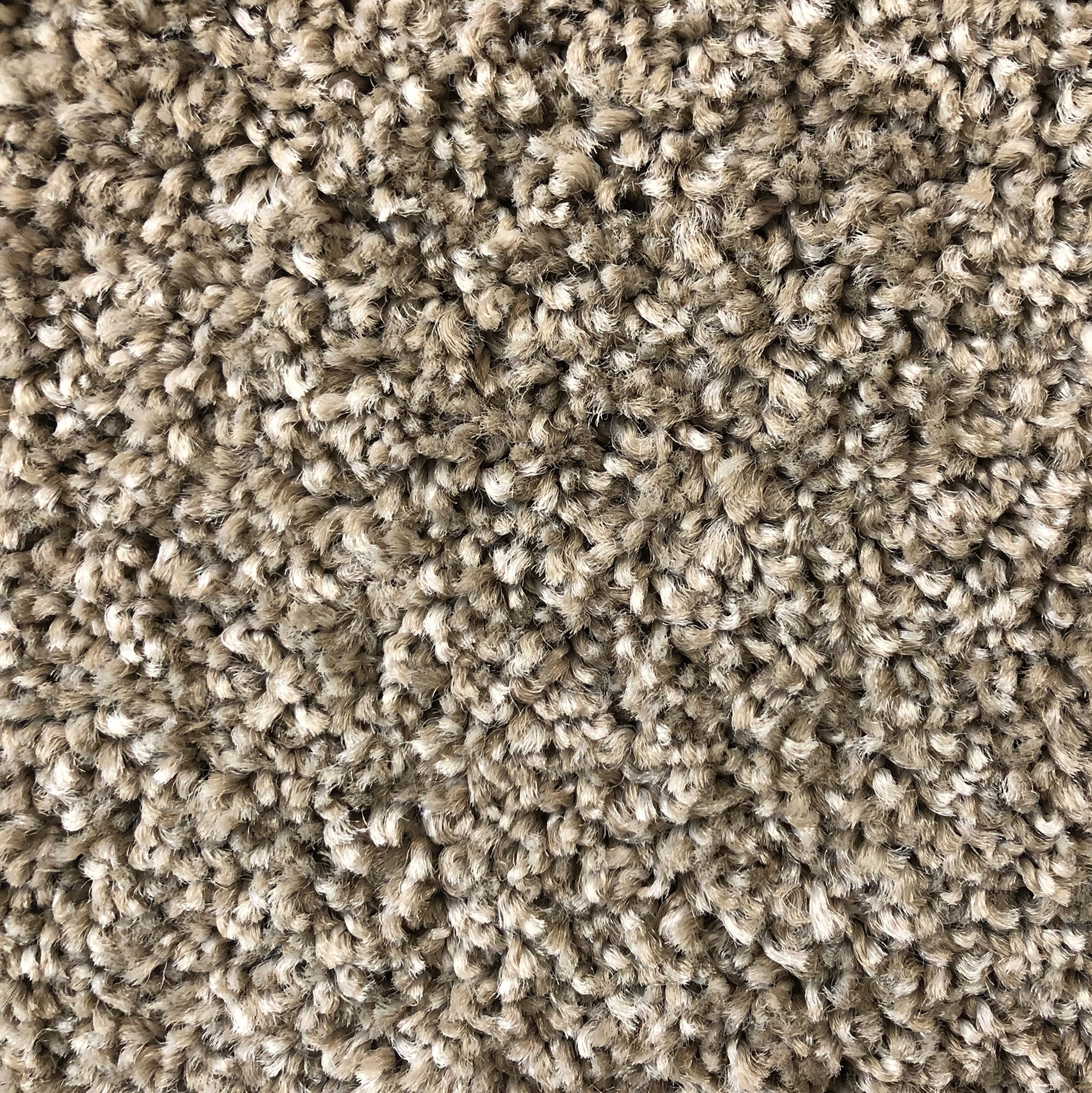 Feltex Bonita Carpet Collection | Ian Hunt Flooring