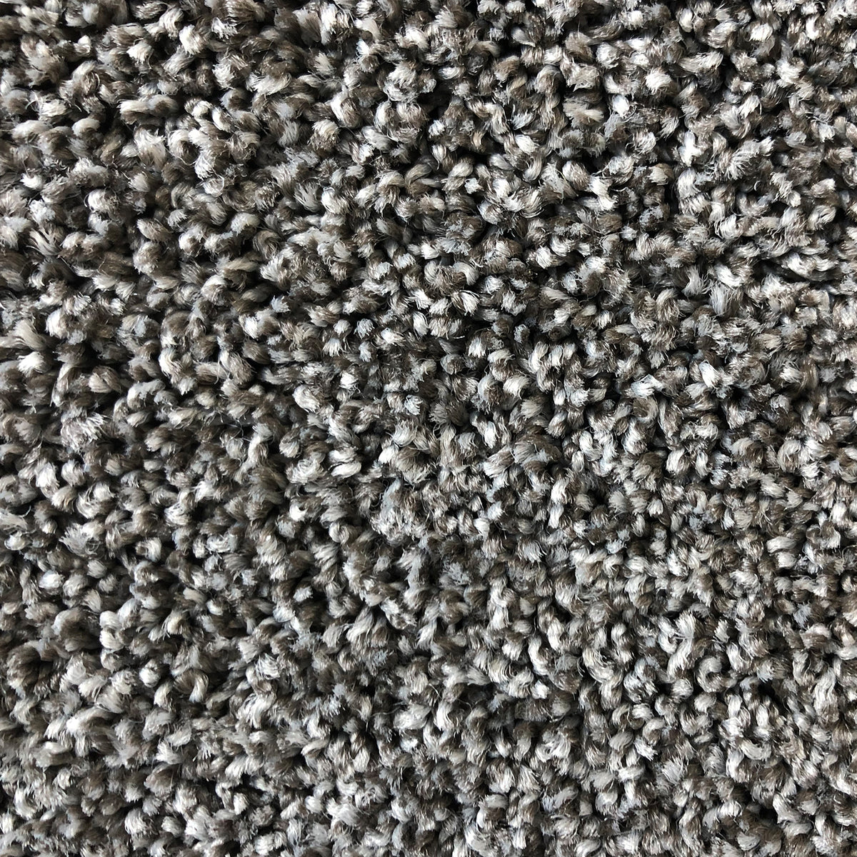 Feltex Bonita Carpet Collection | Ian Hunt Flooring