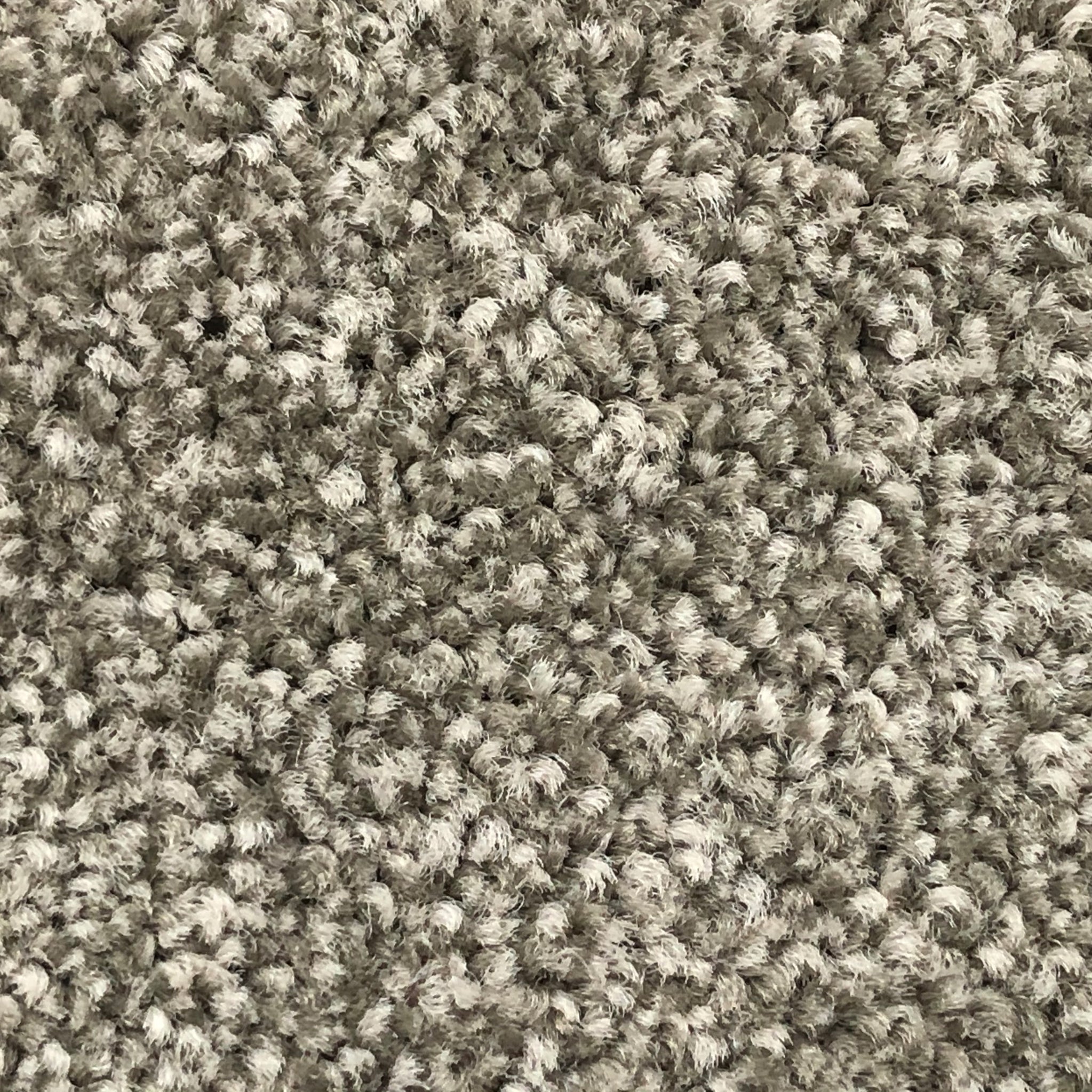 Belgotex Tango Carpet Range | Ian Hunt Flooring